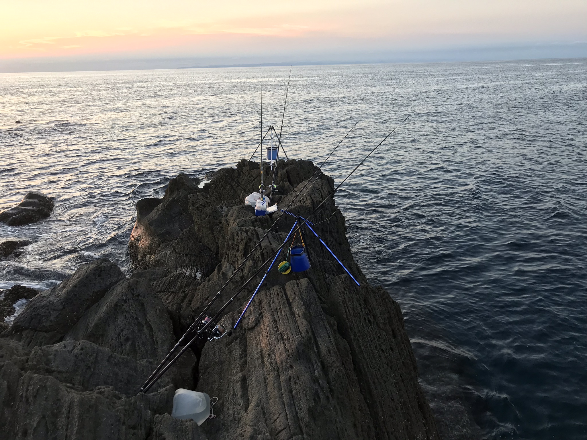 2019.8.3 神津島のハマフエフキ – 伊豆MidNight Casters!